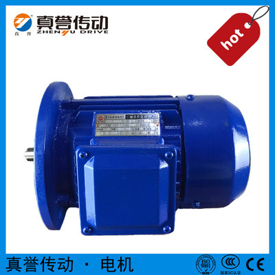 Miniature IEC High Rpm Induction Electric Motor 1HP 3 Phase Induction Motors S1