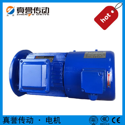 1HP 2HP 3HP Induction Ac Motor Single Phase 3 Phase Electric Motors IP44 / IP54