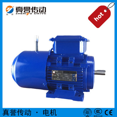 High Power 3HP Three Phase Generator Electrical Induction Motor CE CCC