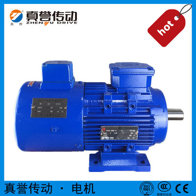 Aluminum Small Electric Motors Slight Vibration 3-Phase Ac Induction Motors