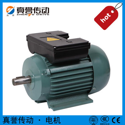 High Rpm YL Series Single Phase AC Asynchronous Electrical Induction Motor