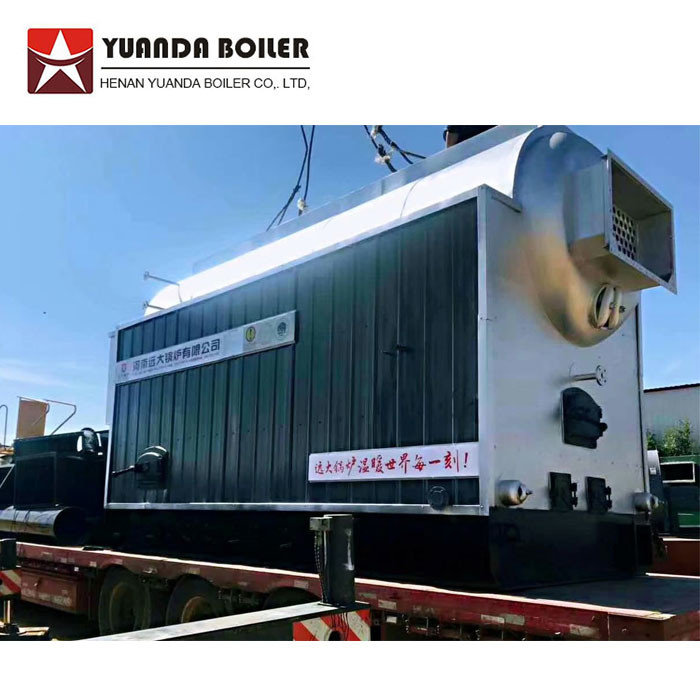 DZL Industrial Chain Grate 6 Ton Coal Fired Boiler For Beer Beverage Factory supplier