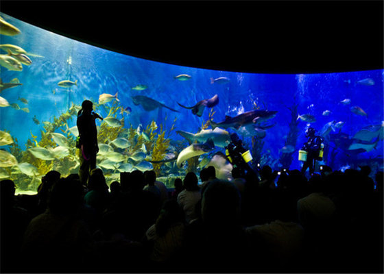 El azul de acrílico modificado para requisitos particulares de los tanques del acuario heló las hojas del plexiglás 250m m ×1850mm