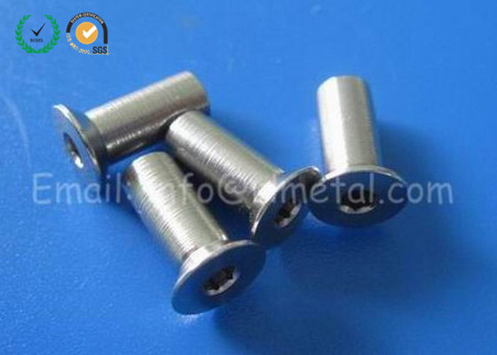 Precision Musical Instrument Parts Stainless Steel Fasteners Customized