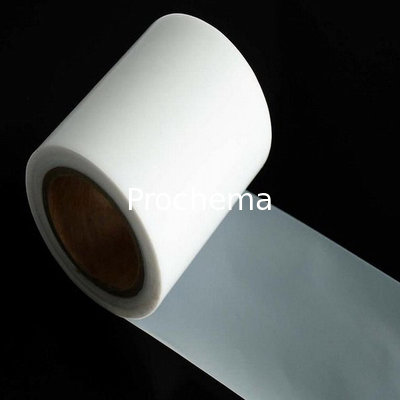 /PTFE  sheet