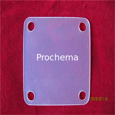 PCTFE  gasket