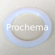 PCTFE gasket