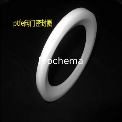  /PTFE  sealing ring