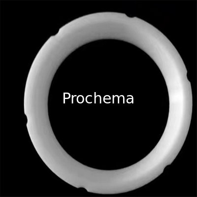  /PTFE   valve seat