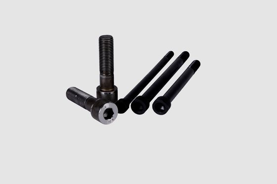 Hex Socket Cap Screws