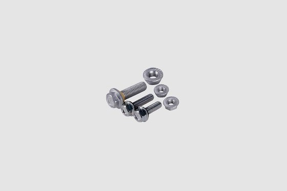 Flange Nuts