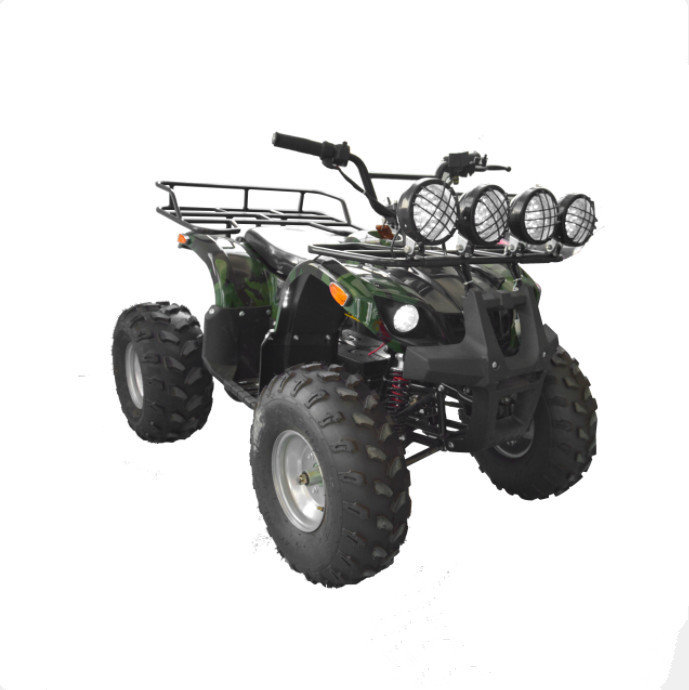 Own factory produced high quality motorcycle powered racing beach buggy 500w 80A for sale