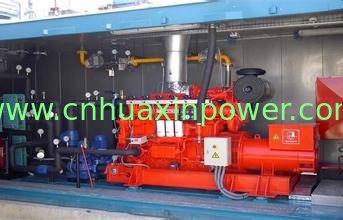 Biogas Biomass CNG LPG Gas Generator Set