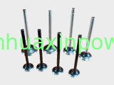 Intake and outtake valve for Weifang Ricardo Engine 295/495/4100/4105/6105/6113/6126 Engine Parts