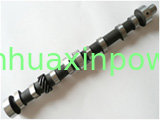 Camshaft for Weifang Ricardo Engine 295/495/4100/4105/6105/6113/6126 Engine Parts