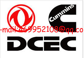 China DONGFENG TRUCK SPARE PARTS,Cummins DIFFERENTIAL BEARING,2402ZB-381 supplier