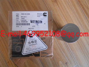 China PISTON PIN 191970,CUMMINS PISTON PIN,CUMMINS ENGINE PARTS,NT855 Piston Pin supplier
