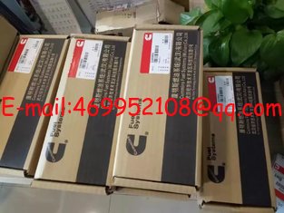 China Original Cummins NT855 Fuel Injector ,Genuine Cummins Diesel Engine Fuel Injector 3047973 supplier