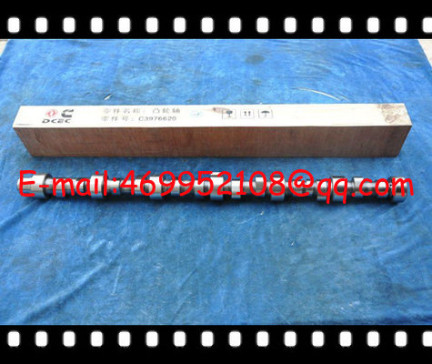 Cummins 6CT Camshaft 3976620 3976619，Diesel Engine Parts,Genuine Camshaft supplier