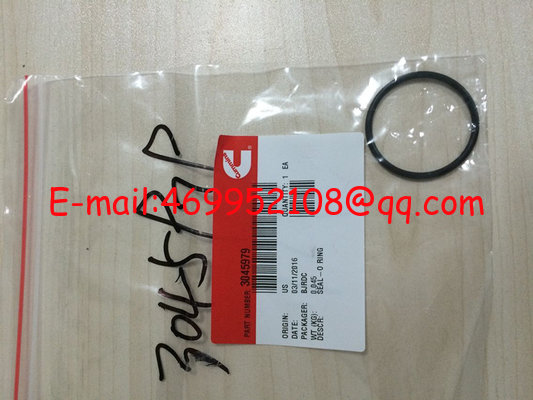 High Quality Cummins Diesel Engine O Ring Seal NT855 Seal O Ring 3045979 supplier