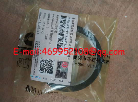 High Quality Diesel Engine Crankshaft Front Oil Seal 3968562 Cummins Engine supplier