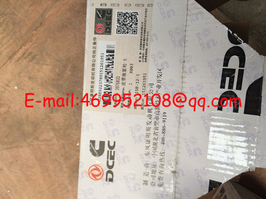 High Quality Cummins Diesel Engine 6CT Belt Tensioner Pulley 3976831 supplier
