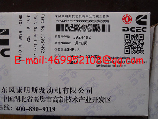 CUMMINS INTAKE VALVE 3924492, CUMMINS 6CT8.3 Engine Valve,Dongfeng 6CT Intake Valve supplier