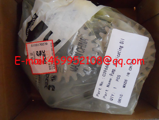 Oil Pump 3966840 ,Cummins 6CT8.3 Oil Pump,Original Engine Oil Pump 3966840 supplier