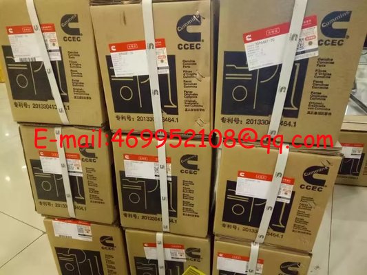 Original Cummins  Fuel Injector ,Genuine Cummins Diesel Engine Fuel Injector 3053124 supplier