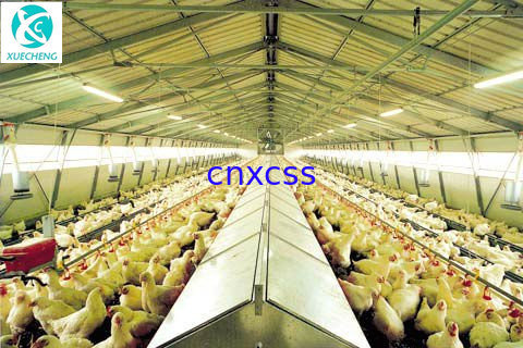 Light Steel Cheap Cost Prefabricated Poultry House Steel Structure Chicken House for Sale