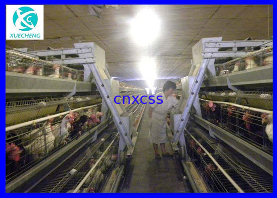 Light Steel Cheap Cost Prefabricated Poultry House Steel Structure Chicken House for Sale