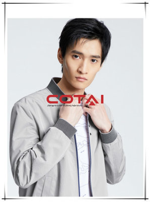 Stone Grain Zipper Causal Wool Blend Winter Coat Spring / Autumn Baseball Collar Jacket