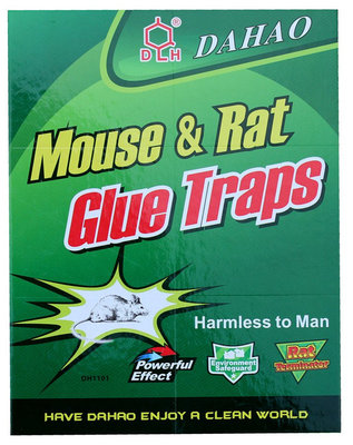 cheap mouse glue pad without poison/liquid rat trap home guard