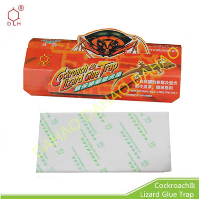 cockroach paste gecko trap for pest control house from Kaiping dahao
