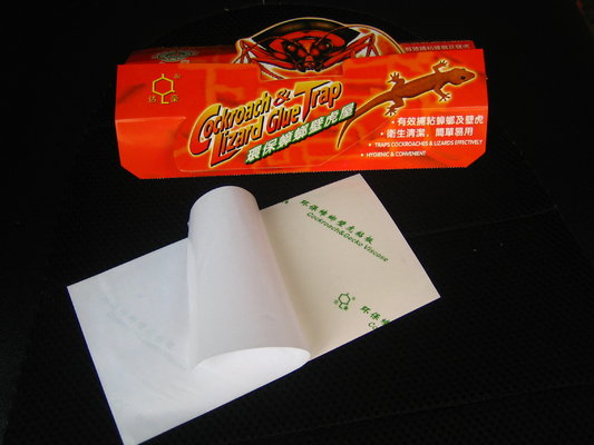cockroach paste gecko trap for pest control house from Kaiping dahao