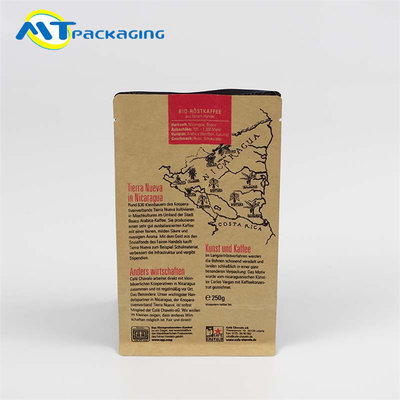 Heat seal kraft paper Biodegradable Food Packaging Bags with valve coffee plastic bag