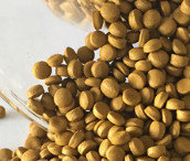 China Inorganic Sort Polymer Masterbatch 5 Migration Security Brown Pigment supplier