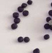 Violet Black Plastic Masterbatch For Shoe / Eva Foaming Polymer Masterbatch supplier