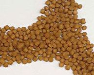 Fiber Brown Polymer Masterbatch 5 Migration Excellent Dispersing supplier