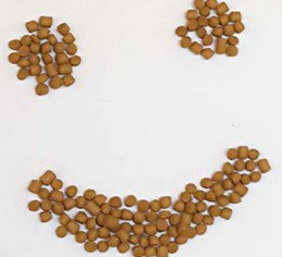 Fiber Brown Pigment Masterbatch 5 Migration Excellent Dispersing supplier
