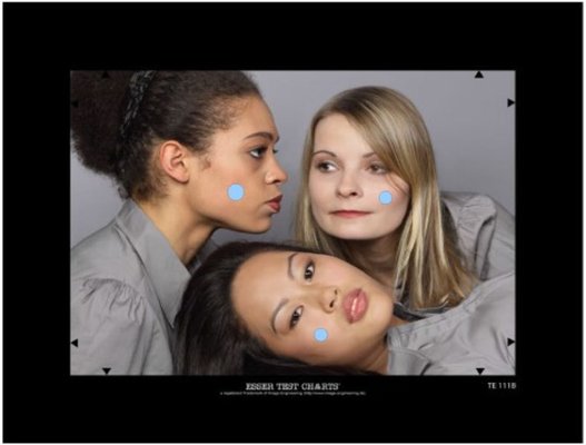 Sine Image Digital Image Resolution Chart YE0111B Critical Flesh Tones Test Chart