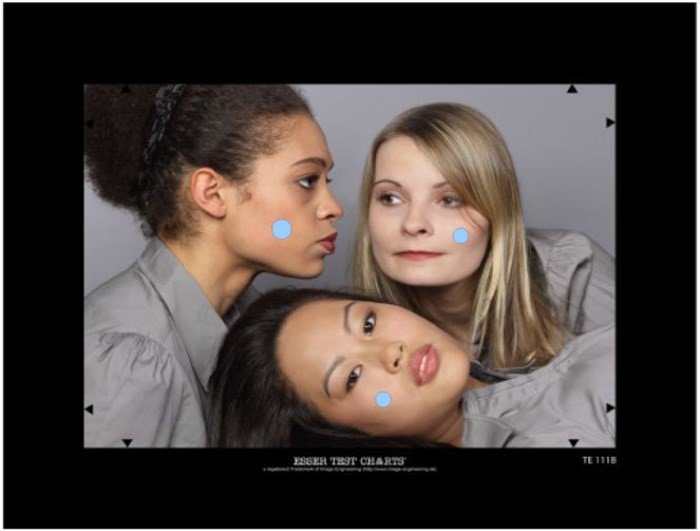 Sine Image Digital Image Resolution Chart YE0111B Critical Flesh Tones Test Chart