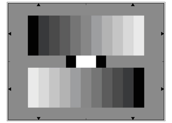 YE0153 Grey Scale Lens Resolution Test Chart Reflective With 11 Patches