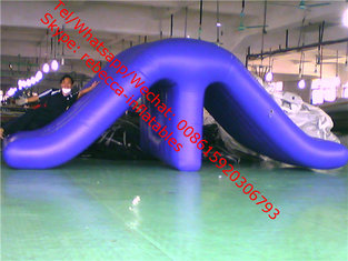 China The Gigantic Water Play Slide Inflatable water slide with climber supplier