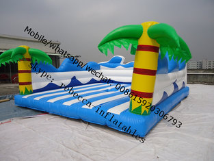China Summer theme inflatable bouncer for sale supplier