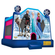 China Frozen bouncy castle inflatable bouncer trampoline supplier