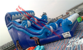 China inflatable pool slide  slip n slide supplier