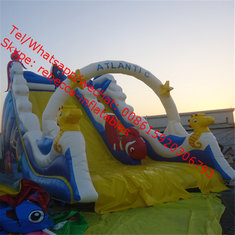 China New Desigen Inflatable Water Slide For Sale  Good Quality Inflatable Water Slide For Summer Holiday supplier