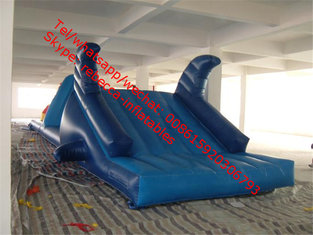 China slide for Home Use  Commercial Grade Adult And Kids Inflatable Water Slide supplier