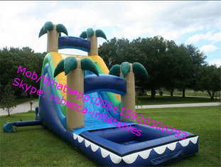 China Commercial Grade Adult And Kids Inflatable Water Slide supplier